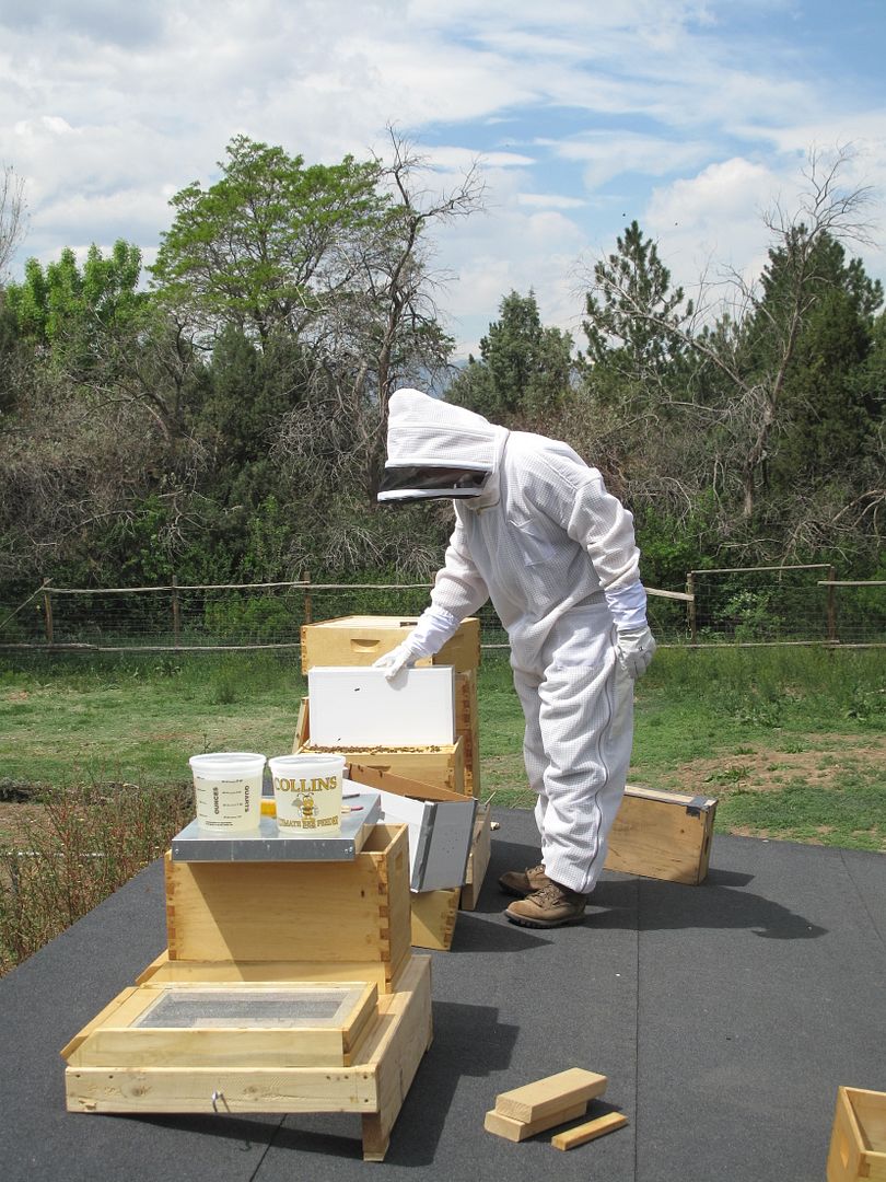 Bee hive on a sloped roof | Beesource Beekeeping Forums